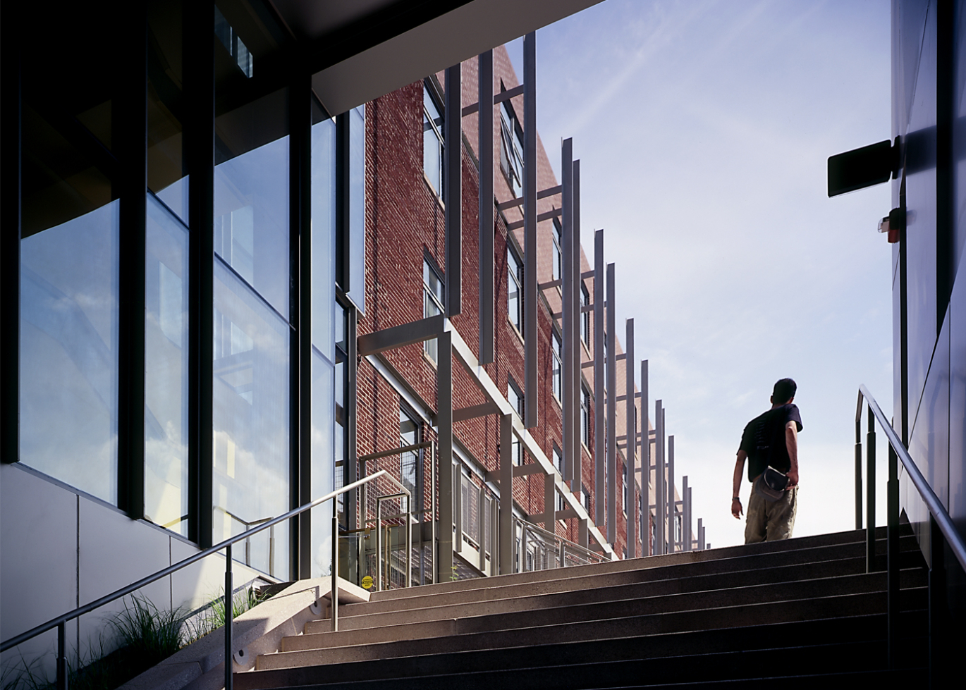 Graduate Housing | Jonathan Levi Architects